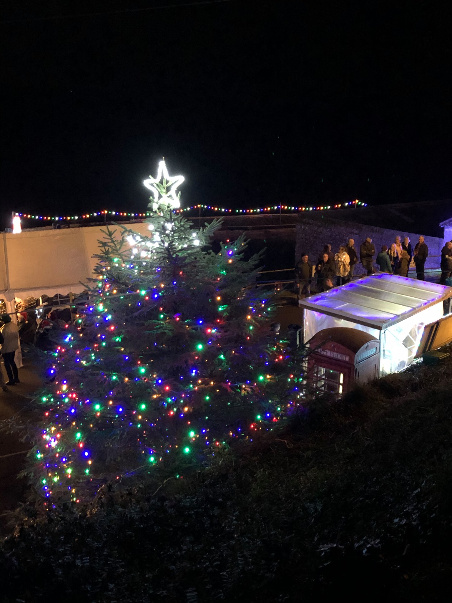 Coverack Christmas Tree Night in Photos – Coverack Village