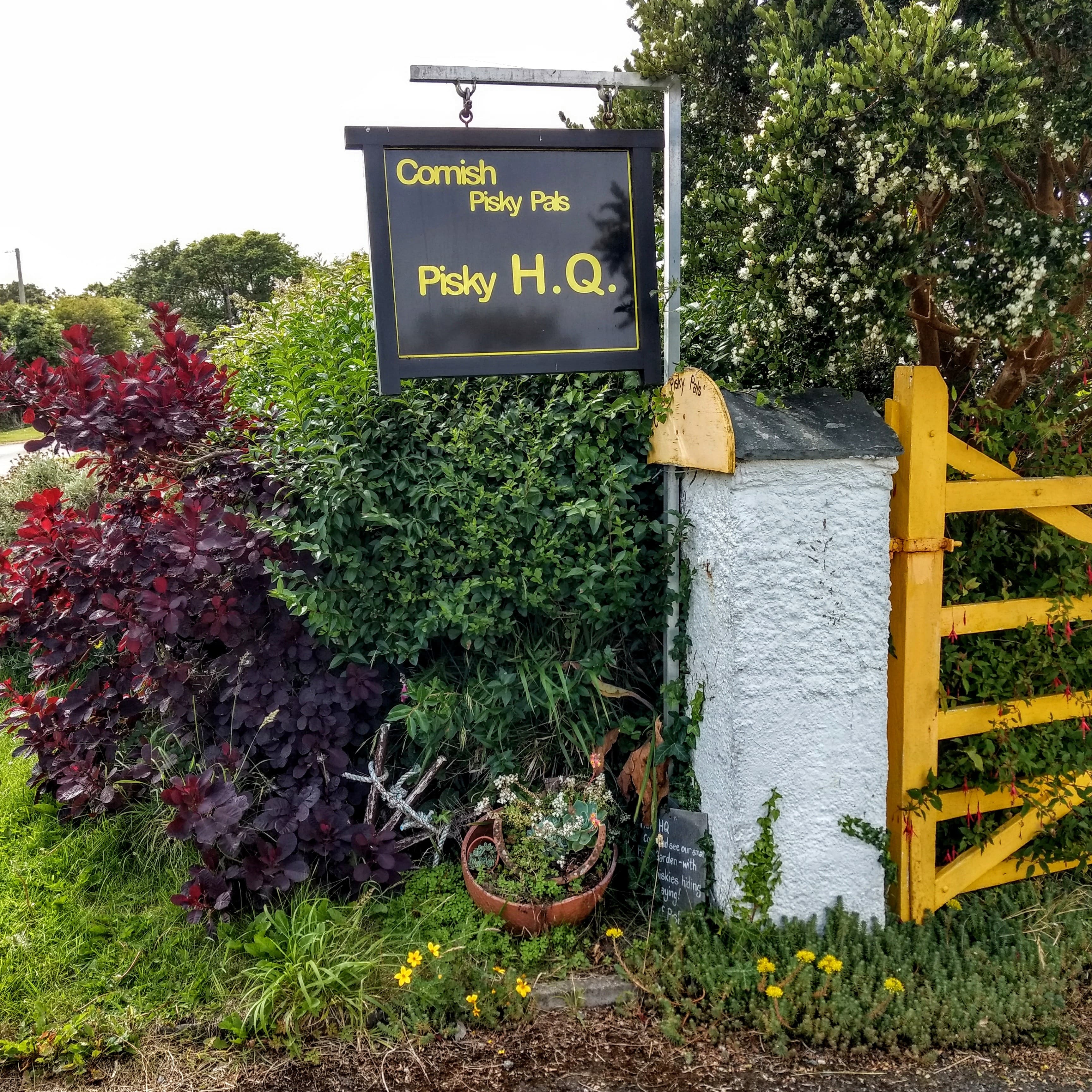 Adjusting to our new normal in Coverack – Coverack Village