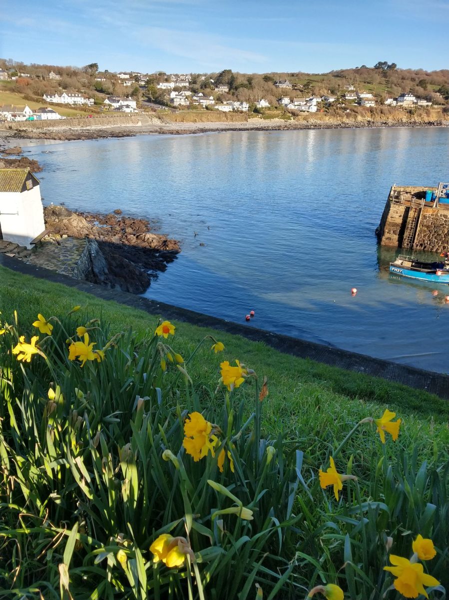 Coverack March 2021 Update – Coverack Village