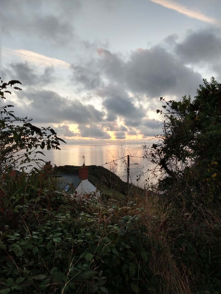 Coverack November Update – Coverack Village