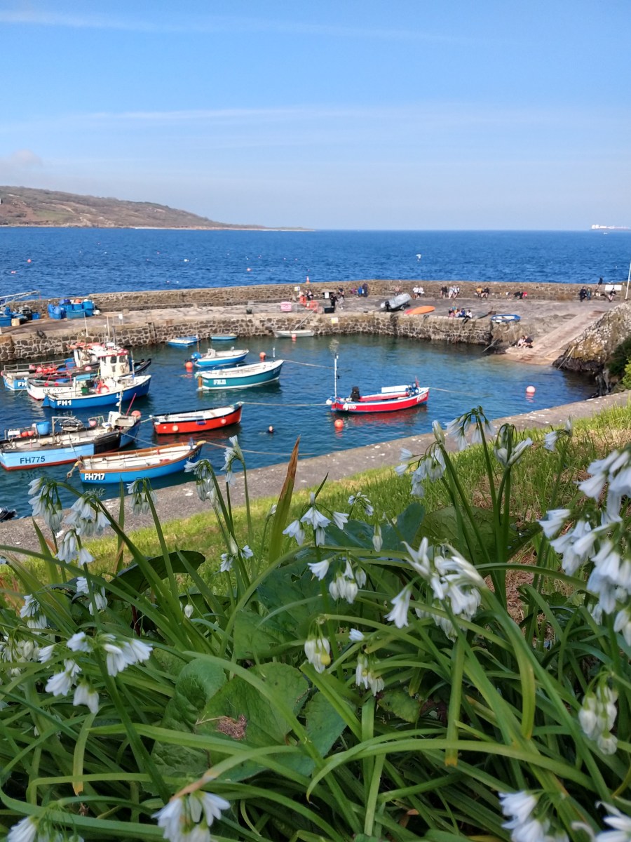 Coverack March 2024 Update – Coverack Village