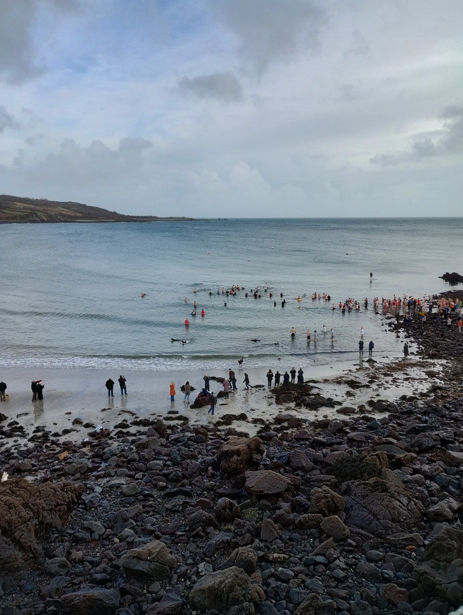 Coverack January 2023 Update – Coverack Village