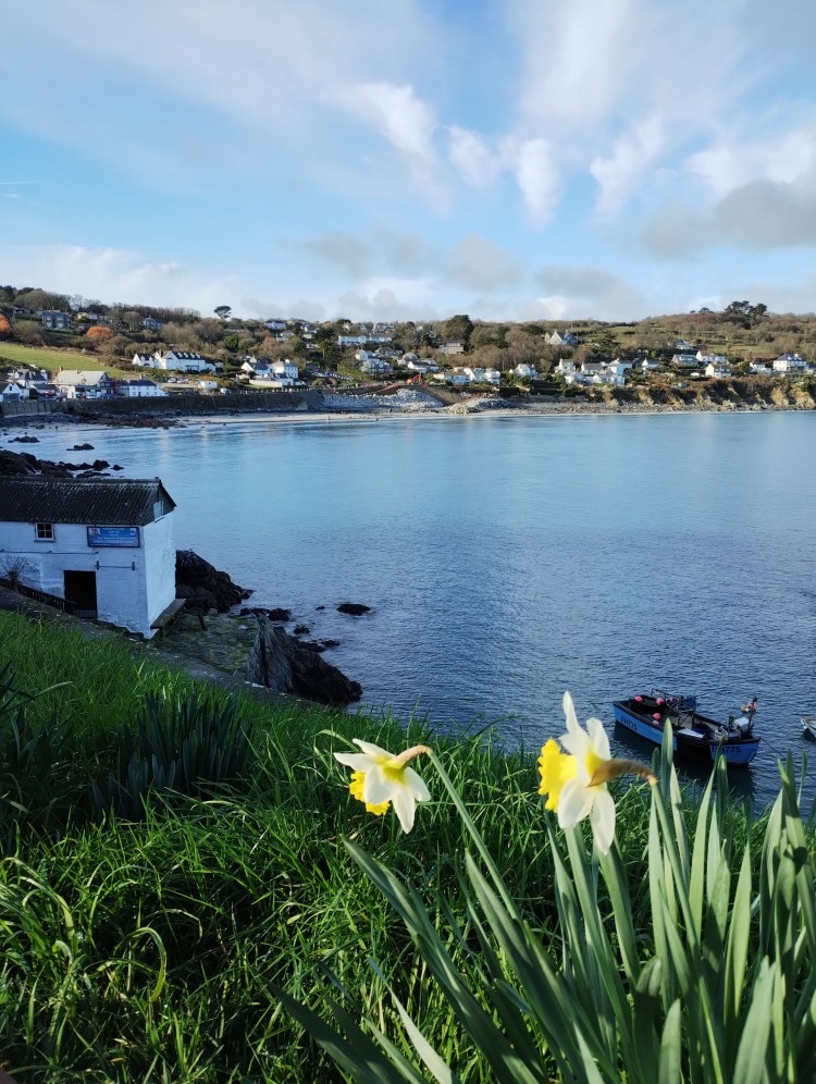 Coverack June 2024 Update – Coverack Village